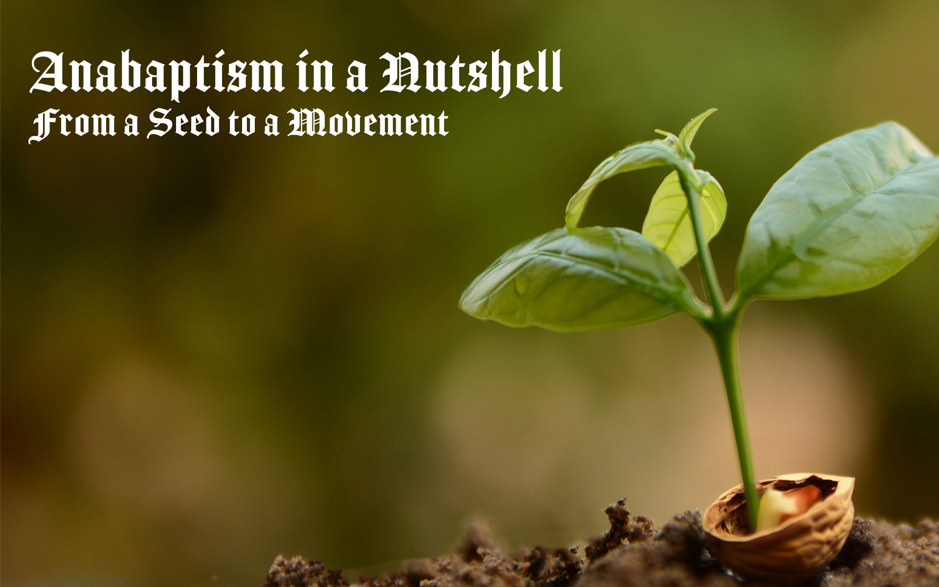 Anabaptism in a Nutshell - Stumptown Mennonite Church